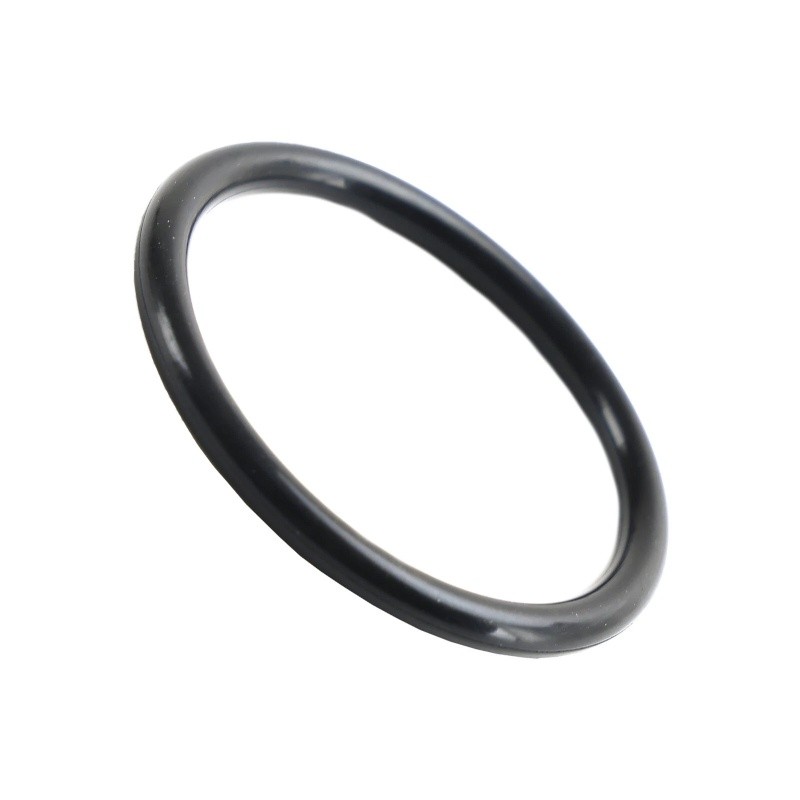 Water Inlet Tube O Ring Engine Water Pump Seal 5066884AA For Ram 1500 ...