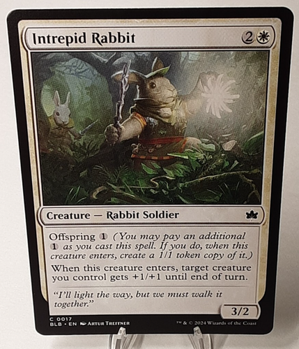 MTG - Bloomburrow - Intrepid Rabbit - #0017 - Near Mint | eBay