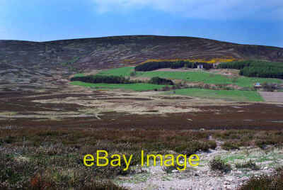 Photo 6x4 Forest of Birse near Knockie Ballochan Birse Castle is in the ...