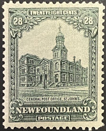 158 Newfoundland for sale | eBay