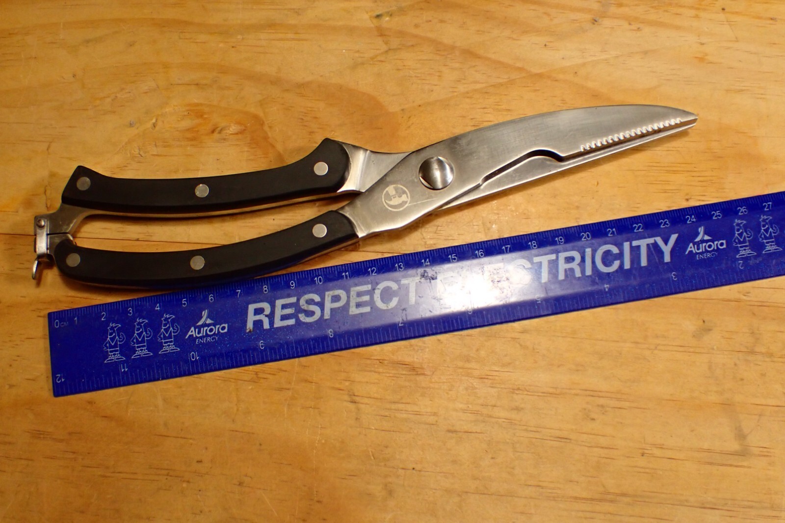 Kitchen Shears - Fish Poultry Scissors | eBay