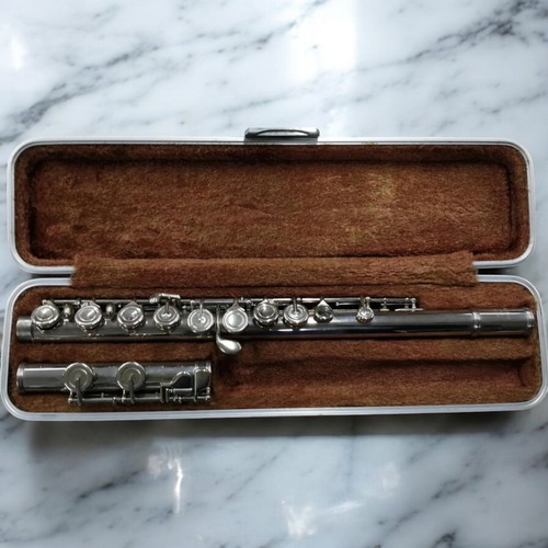 "Nikkan No 30 Flute with Case - For Parts/Repair, Used Condition" | eBay