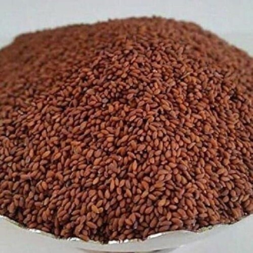Halon Halim Rashad SEEDS 300g Aserio Seeds, PREMIUM QUALITY ORGANIC ...