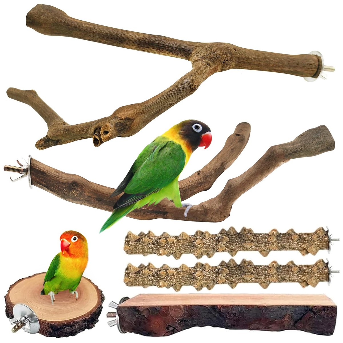 Parakeet Claws
