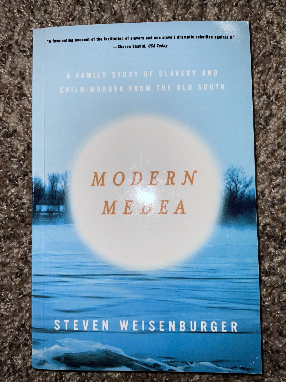 Modern Medea : A Family Story of Slavery and Child-Murder from the Old ...
