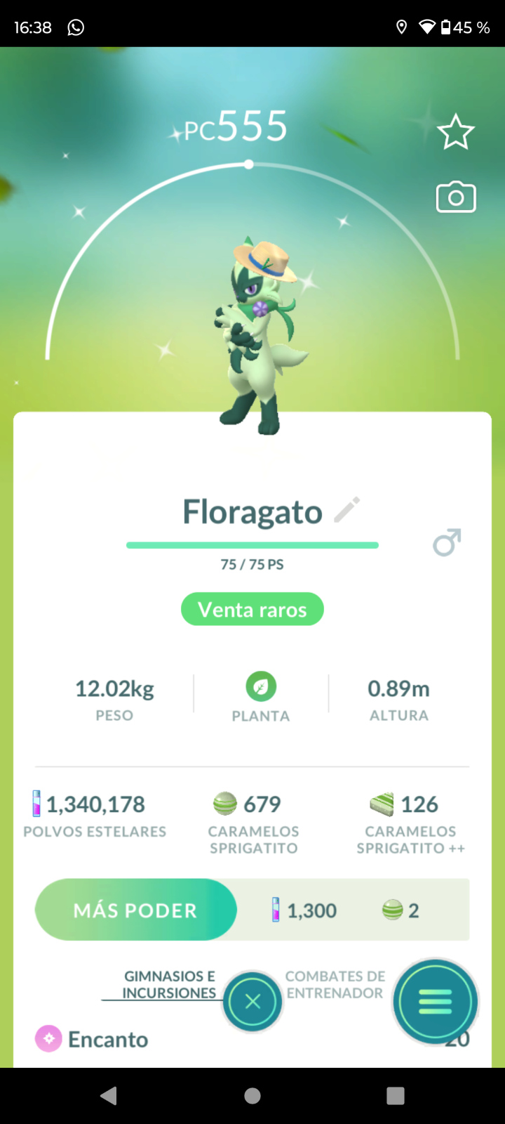 Pokémon Go Shiny Floragato (costume) | eBay