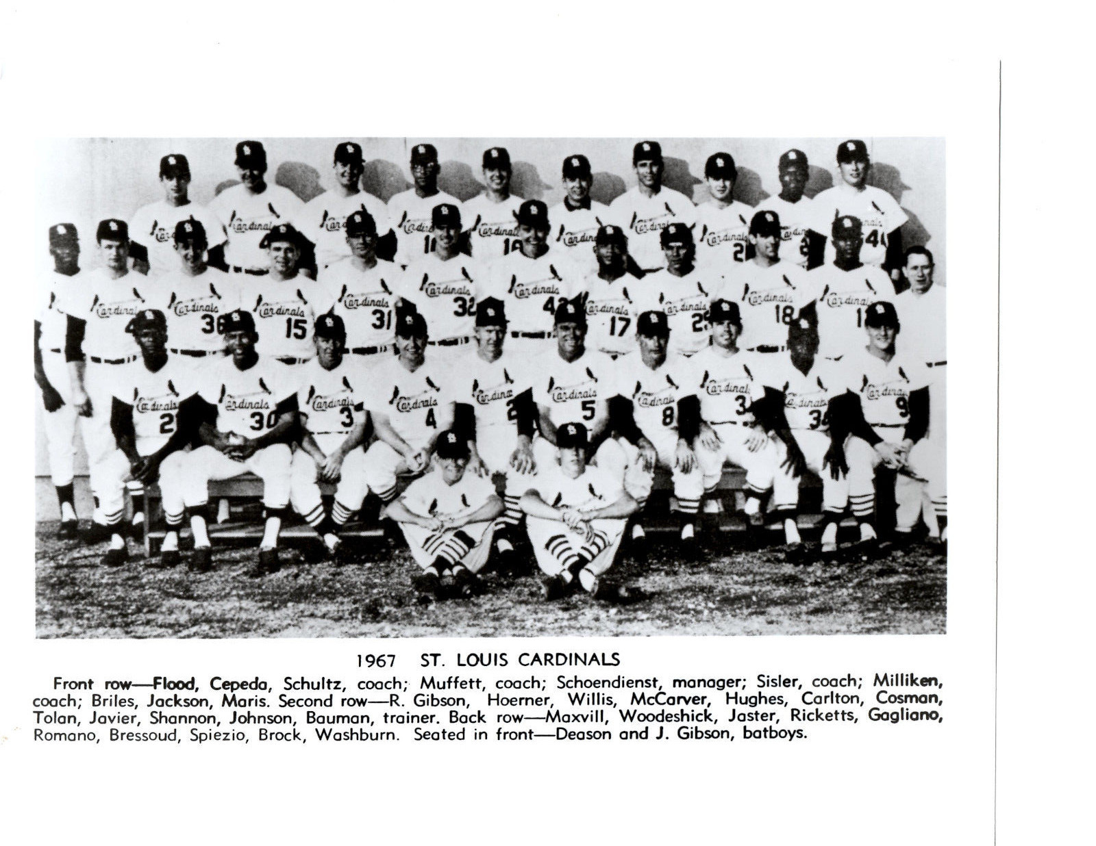 1967 WORLD SERIES CHAMPIONS ST. LOUIS CARDINALS 8X10 TEAM PHOTO MARIS ...