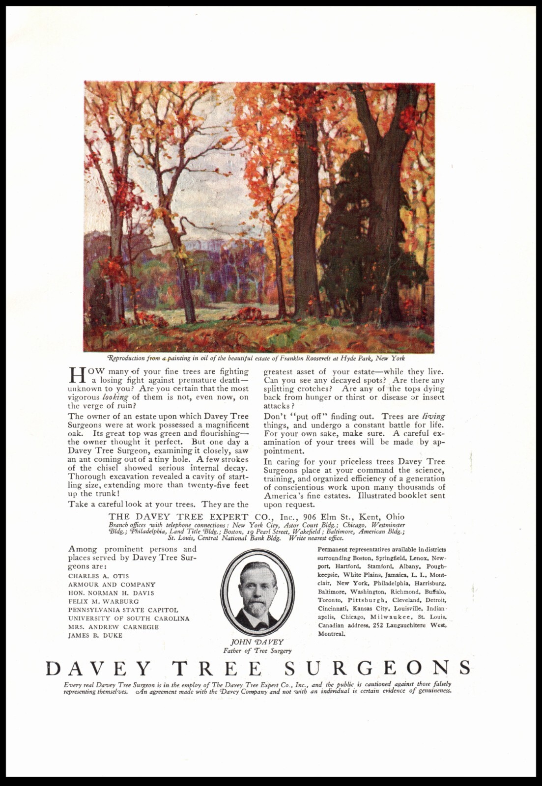 1921 Davey Tree Surgeons Autumn Hyde Park NY Ephemera Vintage 20's ...