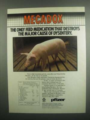 1984 Pfizer Mecadox Ad - Destroys Cause of Dysentery | eBay