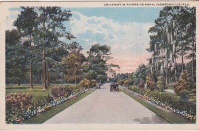 Early 1900's Driveway in Riverside Park-JACKSONVILLE, Florida | eBay