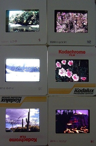 Lot 6 Original Vintage 35mm Kodak Photo Color Slides Nature ...