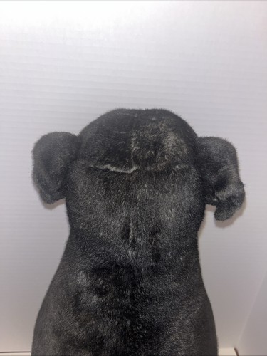 Cuddle Clones Realistic Life Like Plush Dog Terrier Lab Mix Stuffed ...