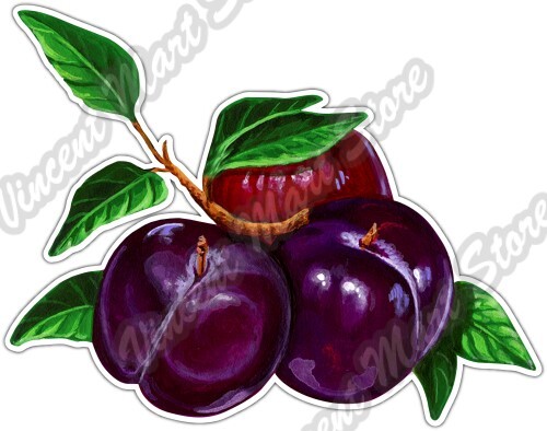 Batch Plums Fruit Plum Gardening Garden Car Bumper Vinyl Sticker Decal ...