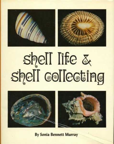Shell Life and Shell Collecting by Sonia Bennett Murray (Hardcover) for ...