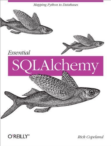 Essential SQLAlchemy | eBay