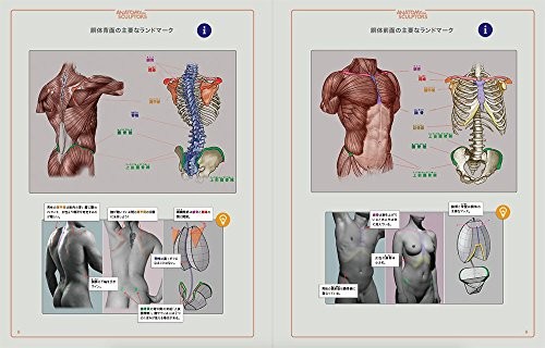 Anatomy For Sculptors Sandis Kondrats Uldis Zarins Art Book Japanese | eBay