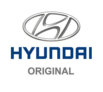 HKOE 4311928070 Wellendichtring, Differential for HYUNDAI KIA | eBay