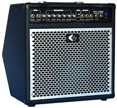 125w Kick Back (Angle) - Combo For Bass Guitar (Canadian Brand) | eBay