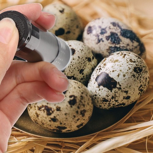 incubright egg candler Egg Tester Light Chicken Tool Egg Tester ...