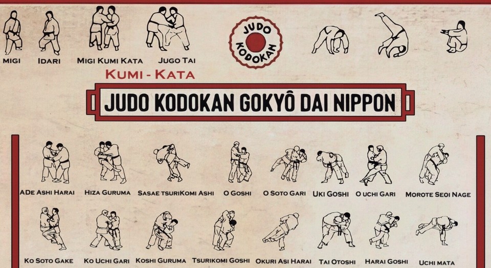 NEW - Judo Kodokan Martial Arts A3 Size Poster - Gokyo Dai Nippon ...