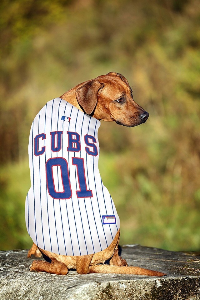 Pets First MLB Licensed Mesh Jersey for Dogs - Available in 29 Teams 7 ...