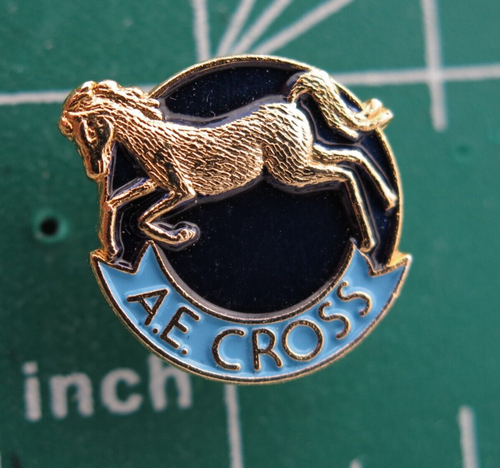 Pin badge vintage Horse A.E Cross lapel pin horse racing | eBay