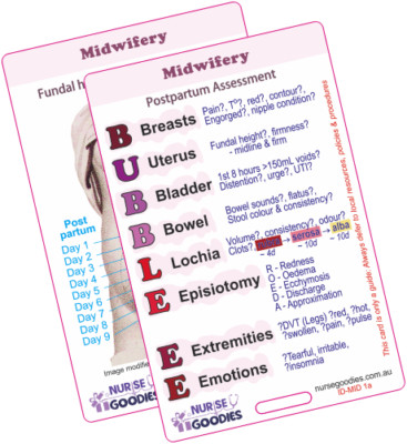 Ref Card: Midwifery 1 - Postpartum Assessment / Fundal Involution | eBay
