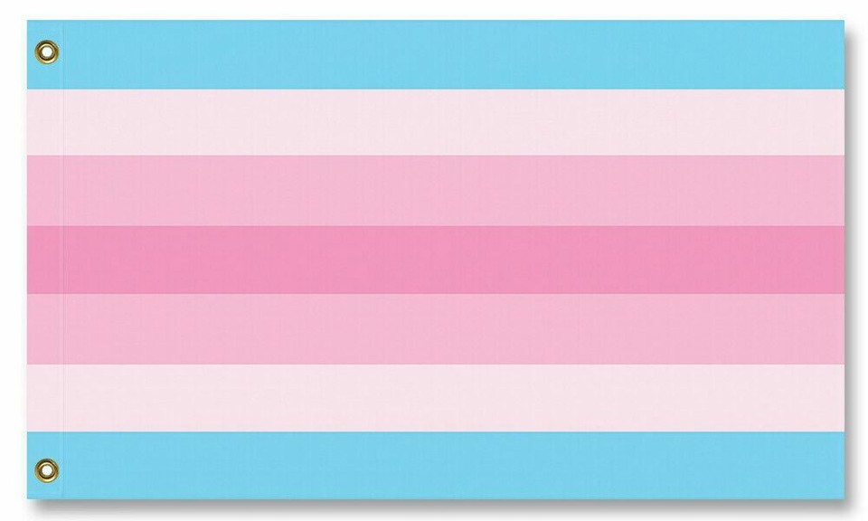 Transfeminine Pride Flag, Transgender LGBTQ LGBTQIA LGBTQX Trans Rights ...