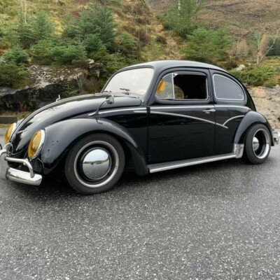 Australian Flash Aussie Flash Trim for VW Beetle Side Trim Bug Trim ...