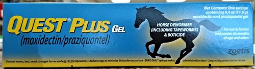 Quest Plus Horse Wormer & Boticide Moxidectin Equine Paste 1 tube Exp ...