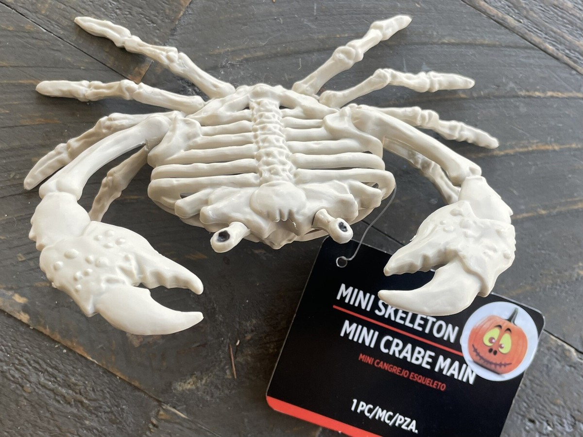 Crab Skeleton