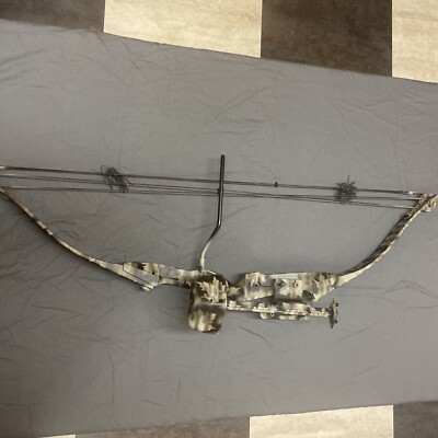 HOYT/EASTON compound bow | eBay