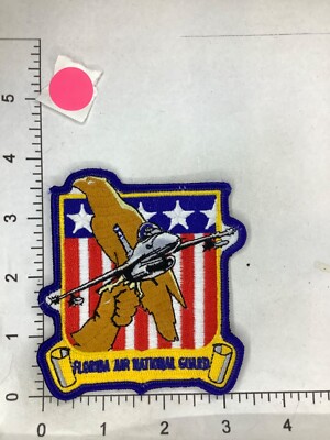 USAF FLORIDA ANG SQUADRON PATCH | eBay