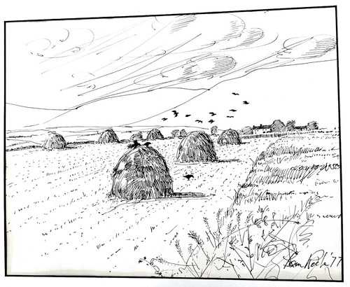 Original Pen & Ink - Tom Roche - Noted Irish Artist | eBay