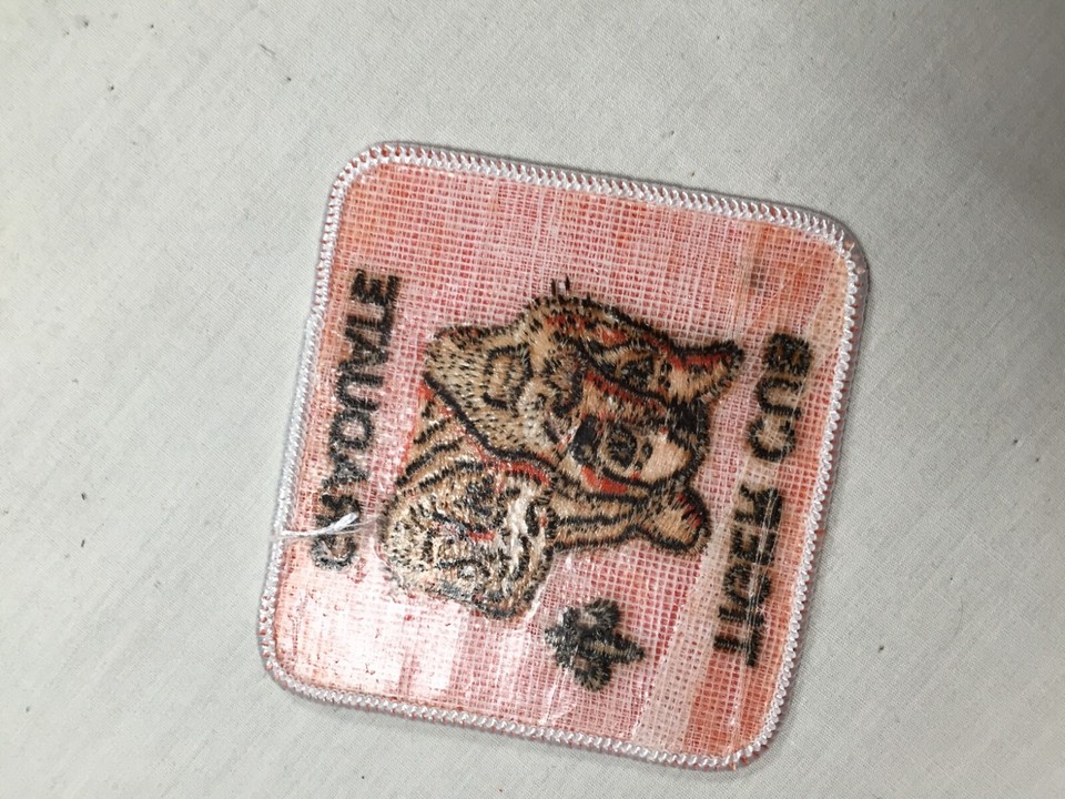 Cub Scout Tiger Cub Graduate gauze back BSA Rank Patch | eBay
