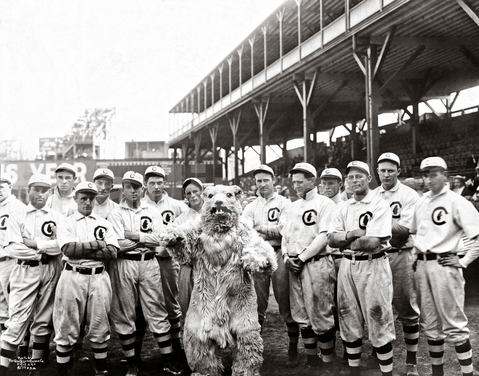 Chicago Cubs 1908 World Series Champions Mascot Team 48x36-8x10 CHOICES ...