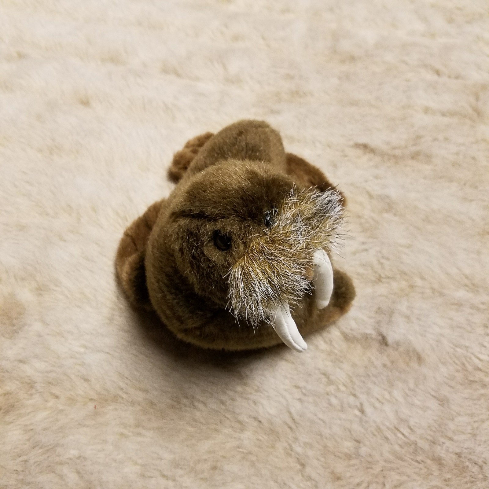 Sea World Walrus Plush Stuffed Animal Lovey | eBay