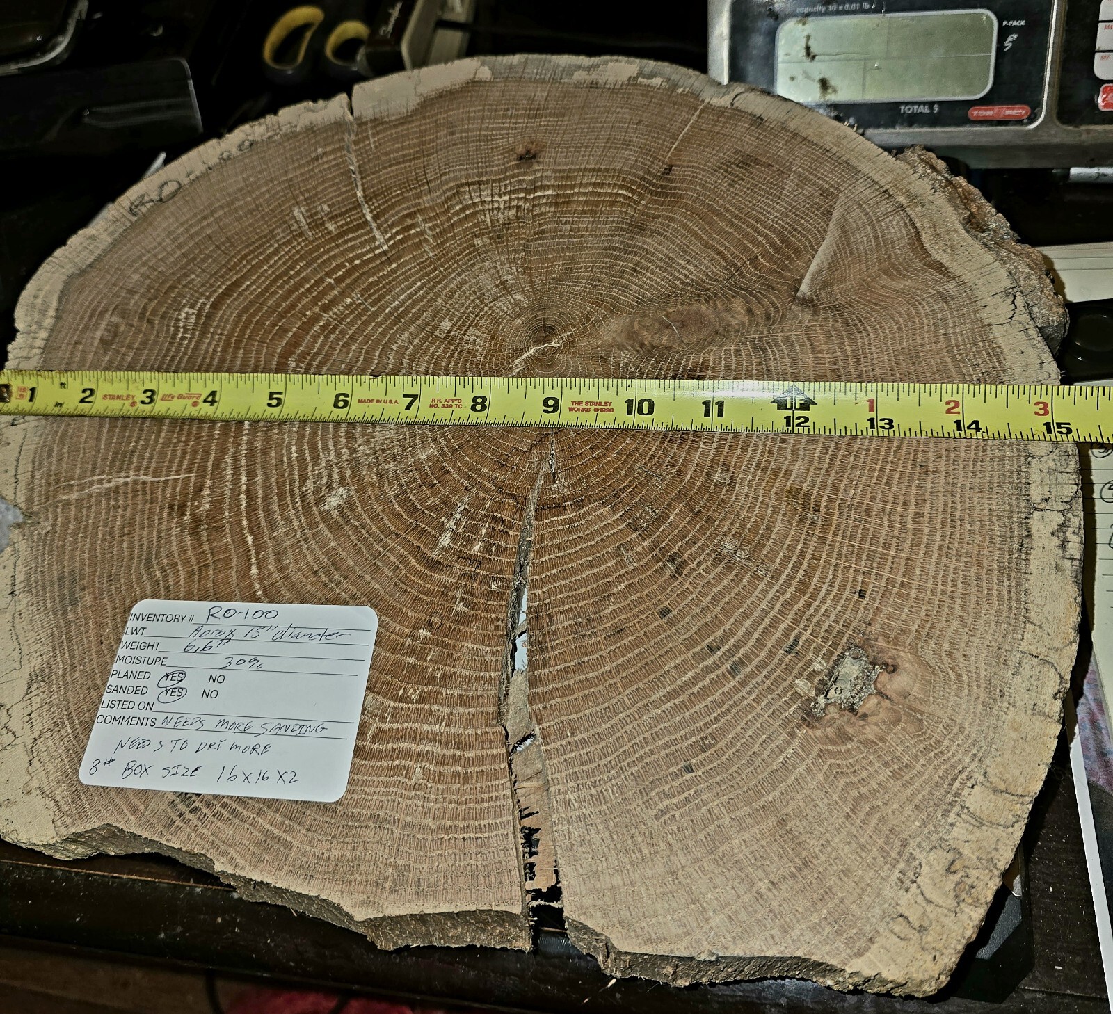Live Edge Red Oak Round, Kiln dried, rough sanded, 15" diameter 1.5 ...