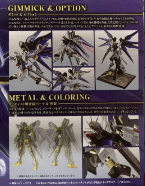 Tamashii Web Shop METAL ROBOT Spirits Strike Freedom Gundam 20th ...