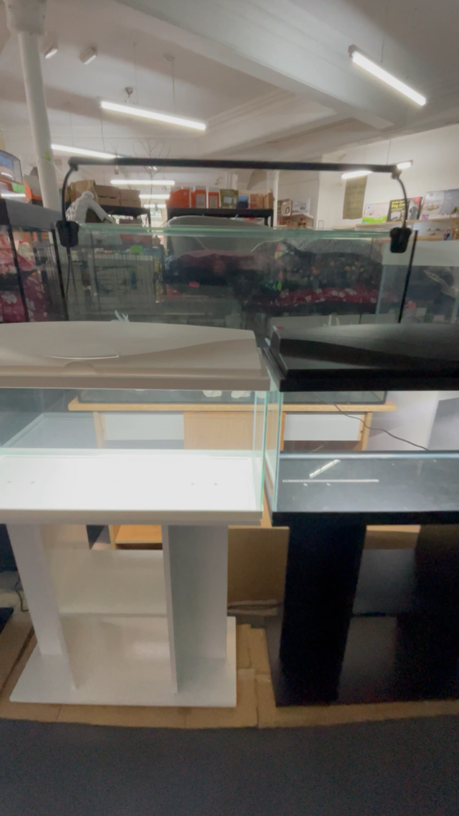 Ciano 80 LED Aquarium & Stand White or Black Starter Fish Tank 80cm ...