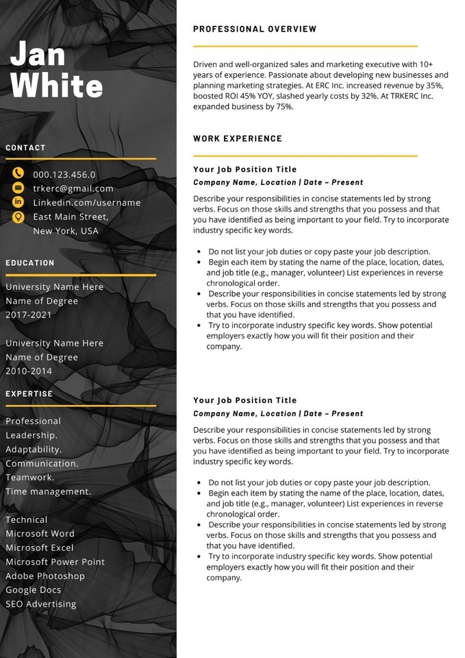 Resume template, Fill In, Resume Update, CV Update, Professional CV ...