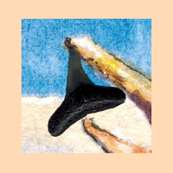 ACEO original, crab painting, "Shark Tooth Disco", genuine shark tooth ...