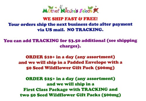 Groundcover AUBRIETA WHITEWELL GEM Purple Rock Cress PERENNIAL Non-GMO ...