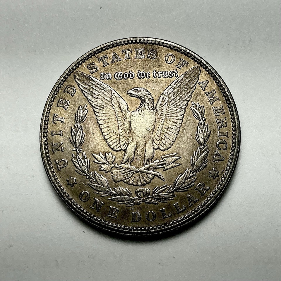 Morgan Silver Dollar Western Indigenous Native Indian Warrior Skull ...