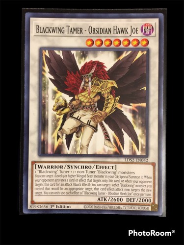 Yu-Gi-Oh! TCG Blackwing Tamer - Obsidian Hawk Joe Legendary Duelists ...
