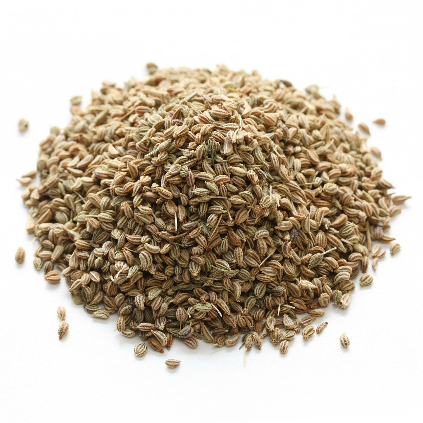 Ajwain Seeds (Carom Bishop's Weeds Ajma Ajmo) Premium Quality! 50g-2kg ...