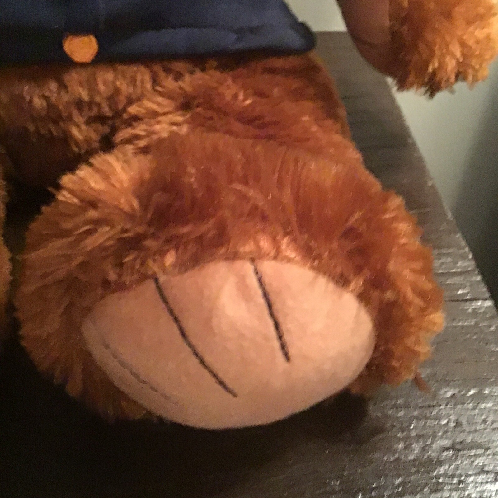 Dave And Buster Stuffed Plush Teddy Bear Blue & Orange Winner Jacket Sz ...