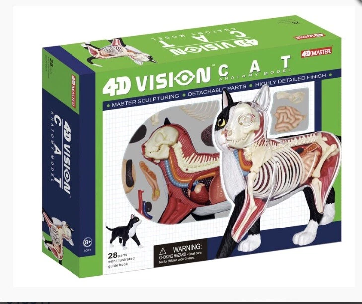 4D VISION Animal Dissection 29: Cat Anatomy Model Black, 59% OFF
