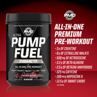 PUMP FUEL ULTRA INSANITY GLYCO LOAD PRE WORKOUT - CHERRY SLUSH (30 ...
