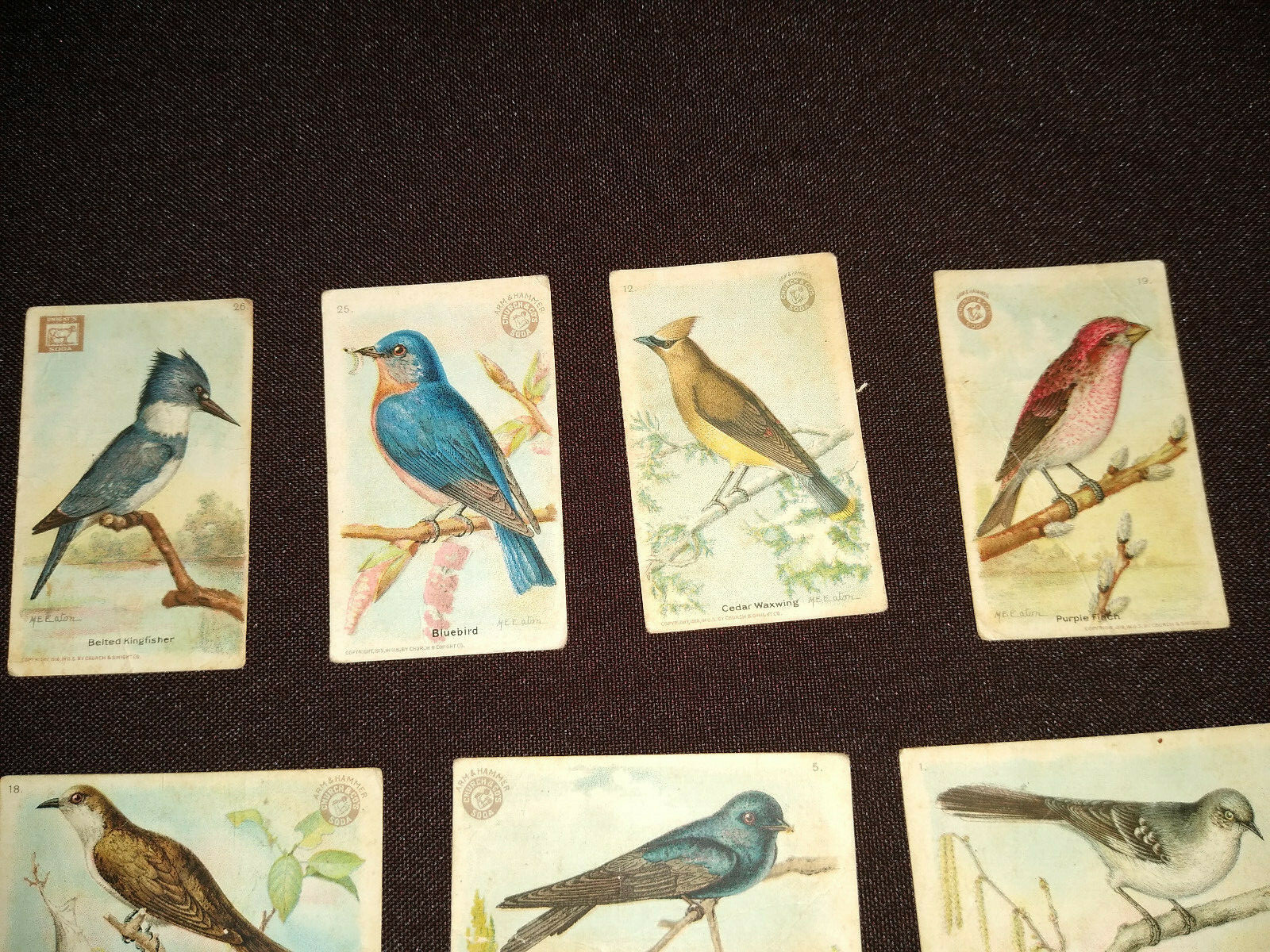 Arm & Hammer Bird Cards series 1,2,3 total of 16 | eBay